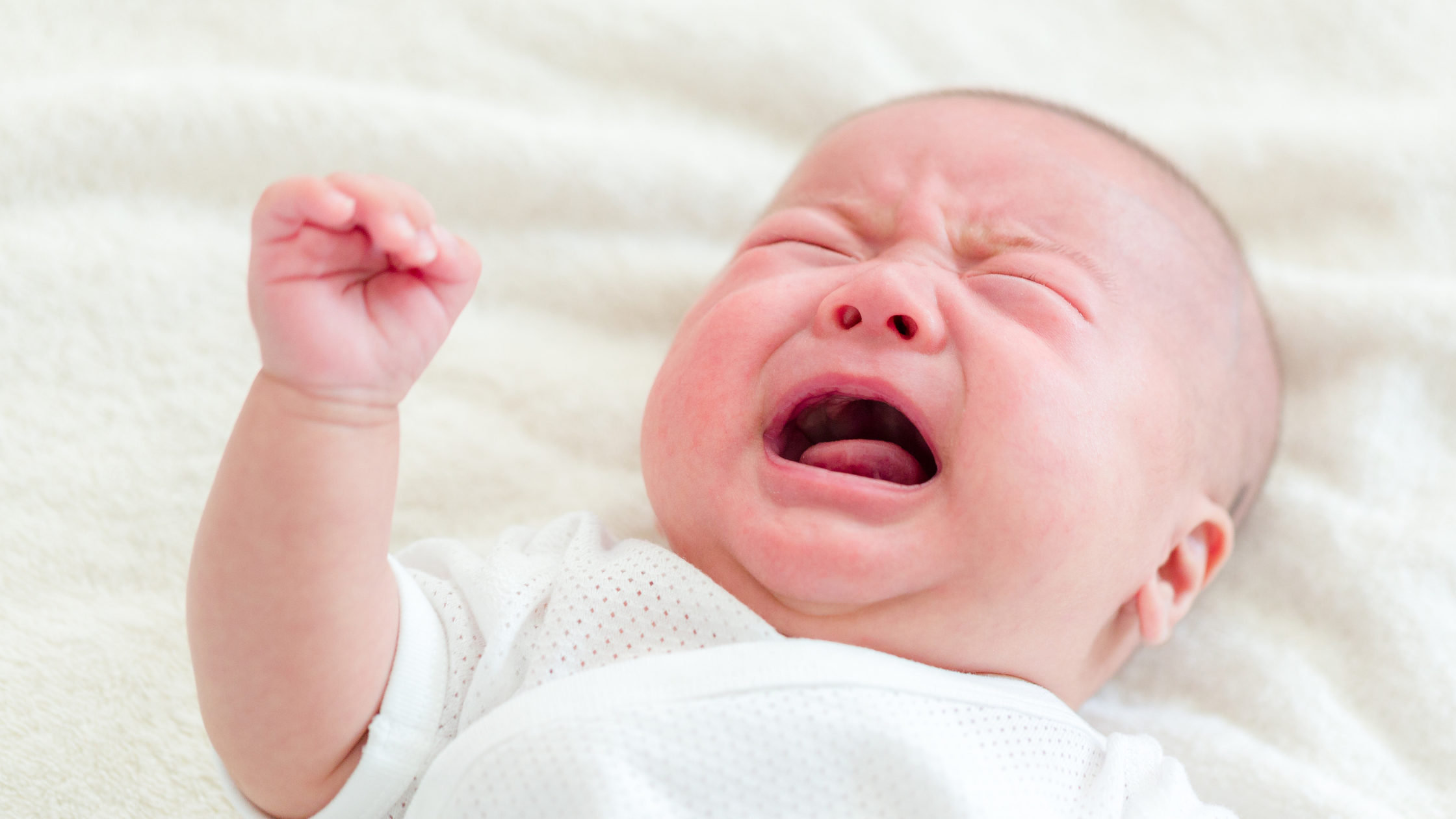 What’s the Best Baby Formula for Constipation? A HolleHiPPos Guide for